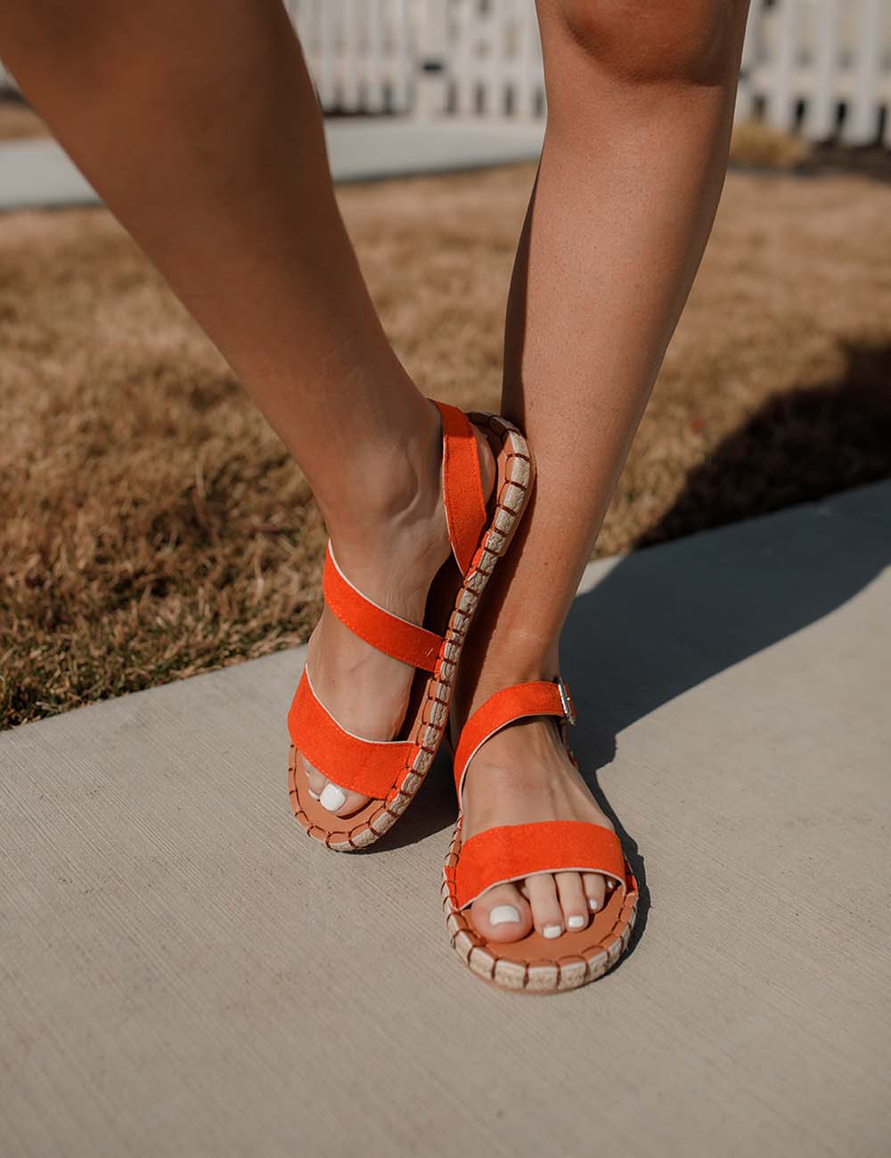 Collections – SimpleAddiction